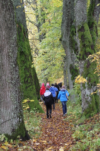 Matkarajad – Lilli looduskeskus
